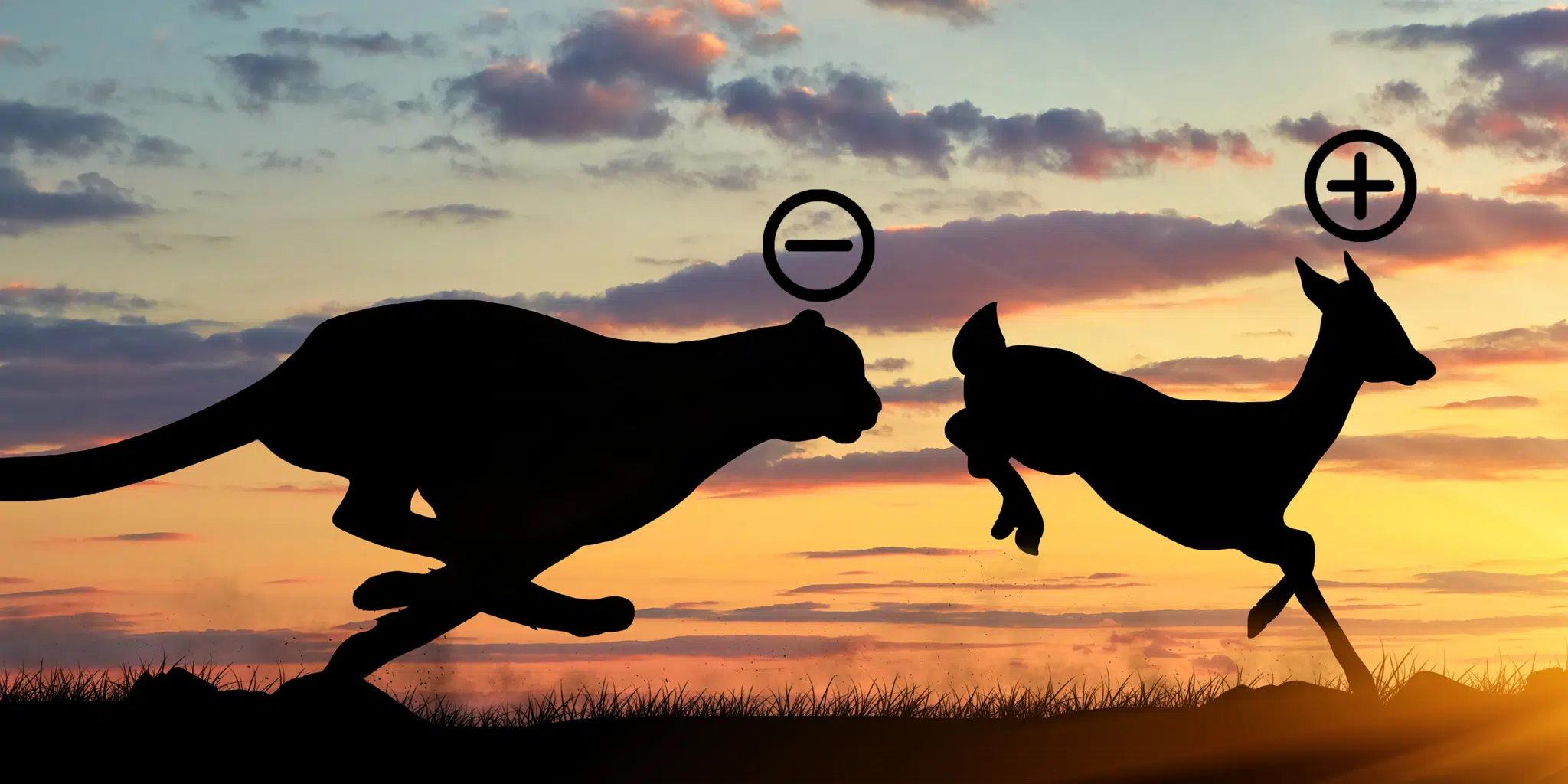 Is Anti-Gravity Possible? How to Cancel Gravity? - Beating Gravity